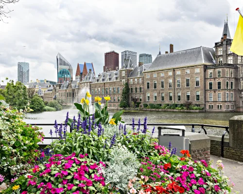 Discovering the Charms of the Netherlands: A Traveller's Guide